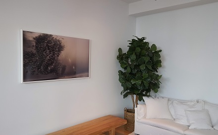 Kempsey Samsung Frame TV Installation/TV Wall Mounting 0474 346 666